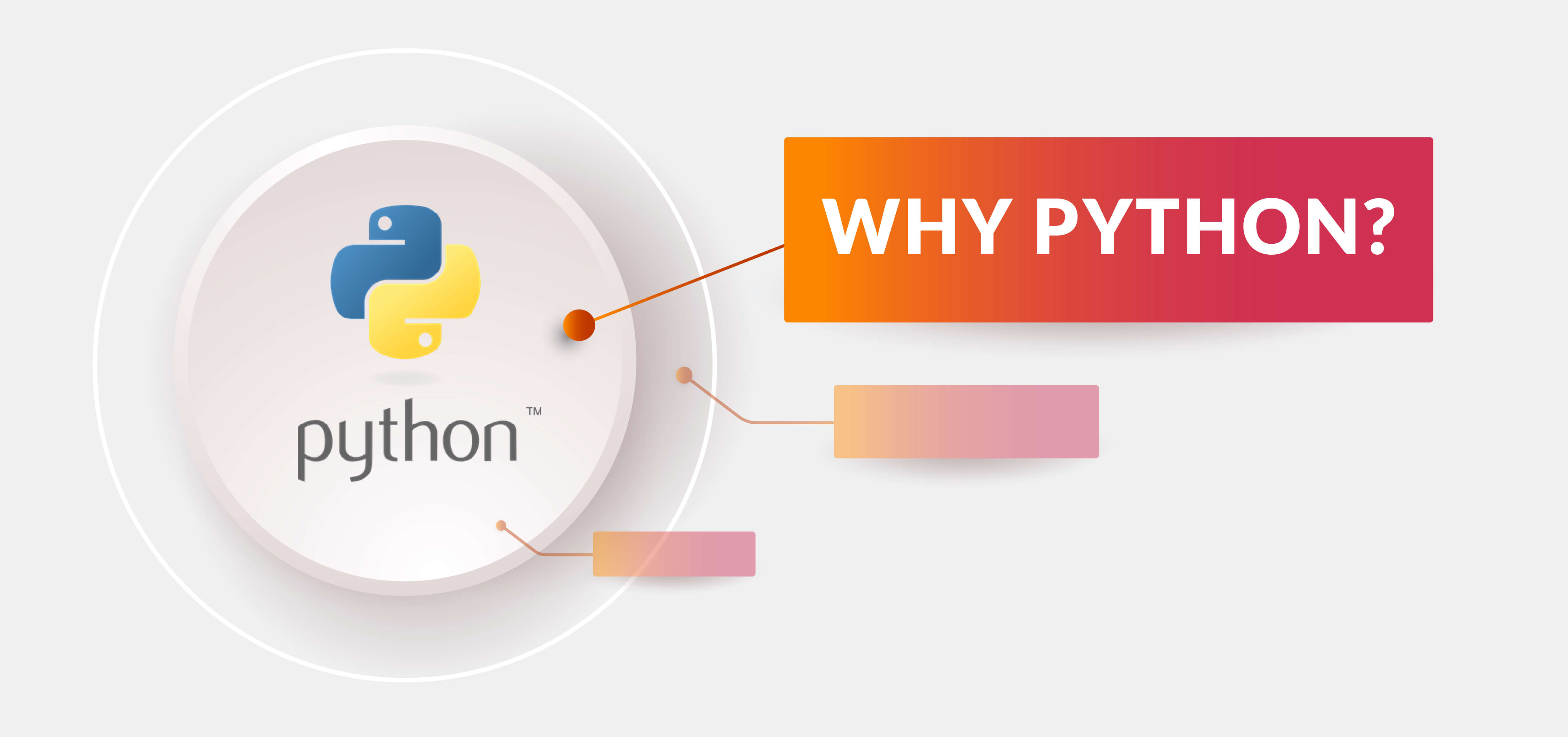 Why should you tame Python for growing a successful business? — Quintagroup